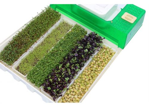 EasyGreen Automatic Sprouter EGL 55 At UK Juicers™